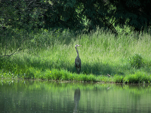 Stop the Hamilton gas pipeline! - Ontario Clean Air Alliance